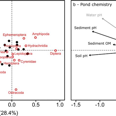 Relationship Between A Macroinvertebrate Community Composition And