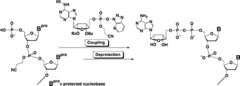 Synthesis Of 5′ Terminal Capped Oligonucleotides Using O N Phosphoryl Migration Of