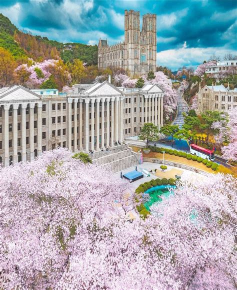 Civil Engineering Discoveries على Linkedin Kyung Hee University Seoul