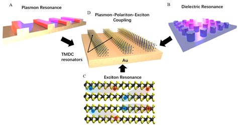 Conceptual Illustration Of Multipartite Light Materials Interaction Download Scientific Diagram