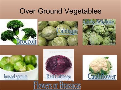 Classification Of Commodities Ppt