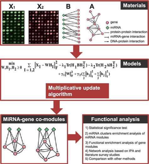 figure 1 from a novel computational framework for simultaneous