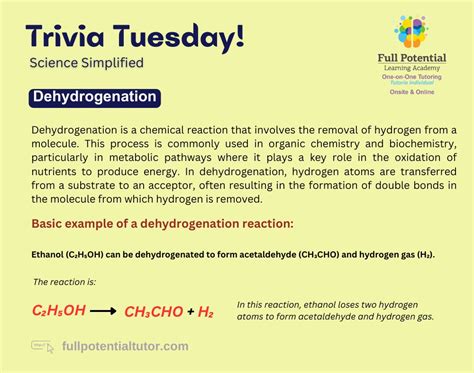 How Dehydrogenation Affects Chemical Processes Full Potential