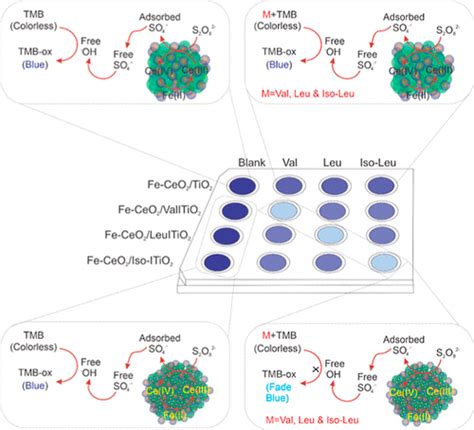 Prussian Blue Analogues Derived Molecularly Imprinted Nanozyme Array For Septicemia Detection