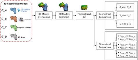 Figure 2 From Comparison Of Three 3d Segmentation Software Tools For Hip Surgical Planning