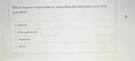 Solved Which Enzyme Is Responsible For Transcribing The