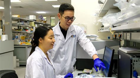 Singapore Pioneers Dna Tagged Gold Nanoparticles For Targeted Cancer Treatment