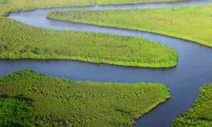 Gambian Passport A Comprehensive Guide Global Citizen Solutions