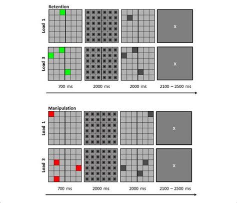 schematic depiction of the visuo spatial delayed match to sample