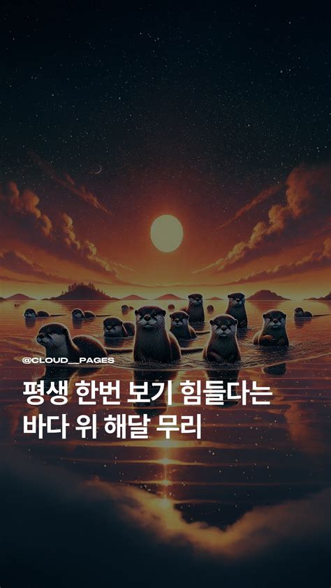 클라우드페이지 Cloudpage ㅣ 구름 같이 흘러가듯 편하게 힐링☁️ 🐱 고양이의 이해 불가 행동들 여러분도 본 적