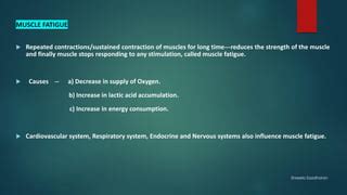 Muscular System Anatomy N Physiology Pdf
