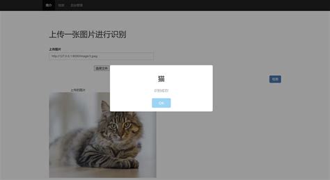 基于python ResNet 算法实现一个图像分类识别系统 知乎