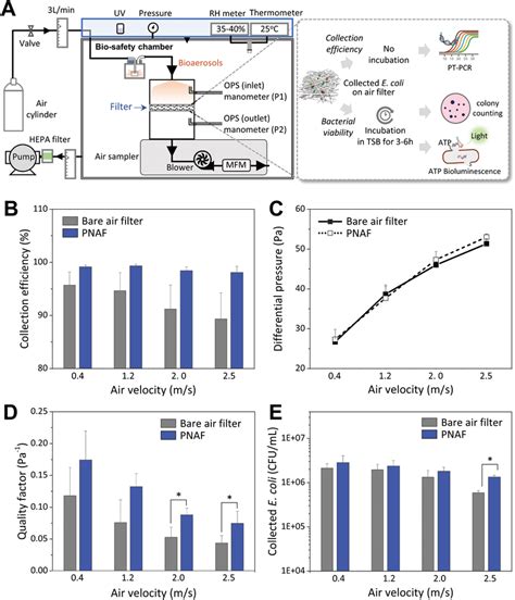 A Schematic Representations Of Experimental Setup To Measure The Download Scientific Diagram