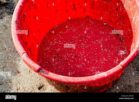 Minecraft Empty Bucket