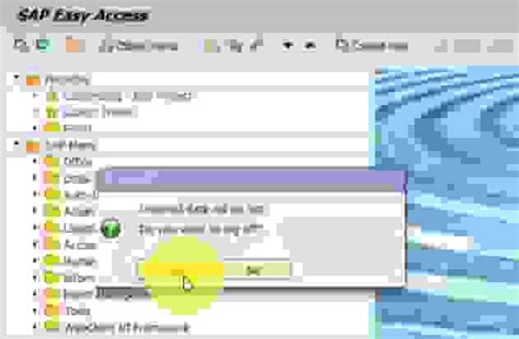Top SAP Tips And Tricks For Beginners