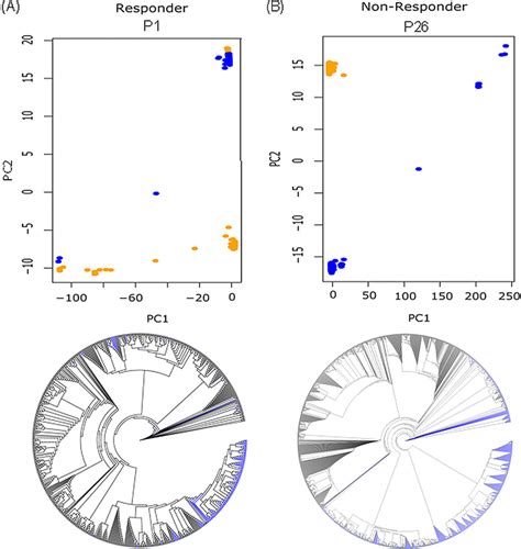 Principal Component Plots And Circular Phylogenetic Trees For Viral Download Scientific Diagram