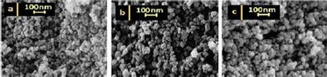 Scanning Electron Micrographs Of Titanium Dioxide Nanoparticles A Download Scientific