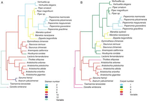 Ancestral State Reconstruction Based On A Bayesian Approach Using The