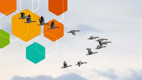 Elevate Your Storytelling Integrating Multiple Apps In Arcgis Storymaps