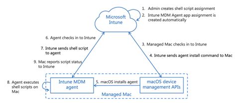 how to run scripts on macos from microsoft endpoint manager