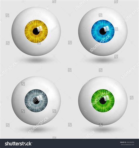 Set Realistic Eyes Different Colors Irises Stock Vector Royalty Free 496286896
