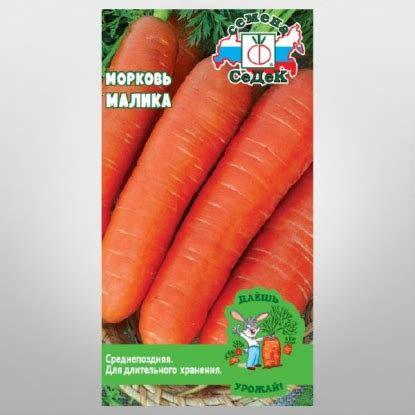 Семена моркови купить в Минске с доставкой по Беларуси почтой