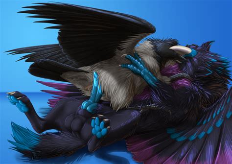 Rule 34 Amaterasu1 Ambiguous Gender Animal Genitalia Avian Balls Beak