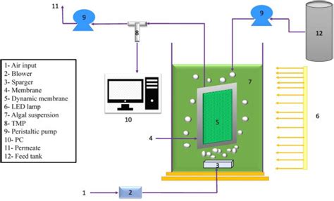 Research Article An Investigation Into The Efficiency Of Microalgal Dynamic Membrane