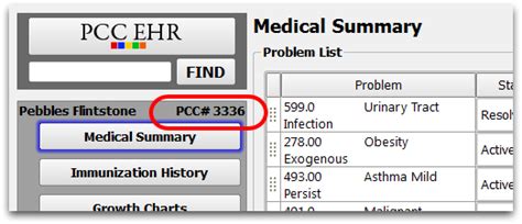 Navigate A Patient S Chart PCC Learn