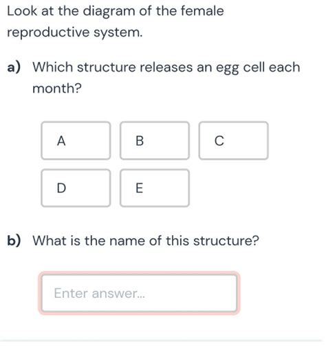 Solved Look At The Diagram Of The Female Reproductive System A Which