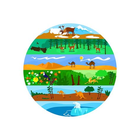 Imágenes De Ecosistema Dibujo Descarga Gratuita En Freepik