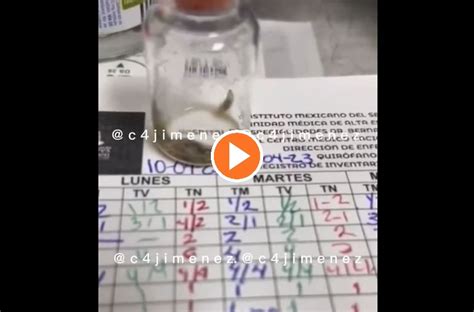 Exhiben Presencia De Gusanos En Quirófano De Hospital Del Imss Notimexpr