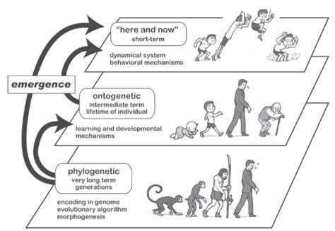 Embodied Cognition Knowing In The Head Is Not Enough 48 Off