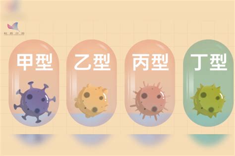 流感：不断变异的难缠病毒 流感 变异 病毒