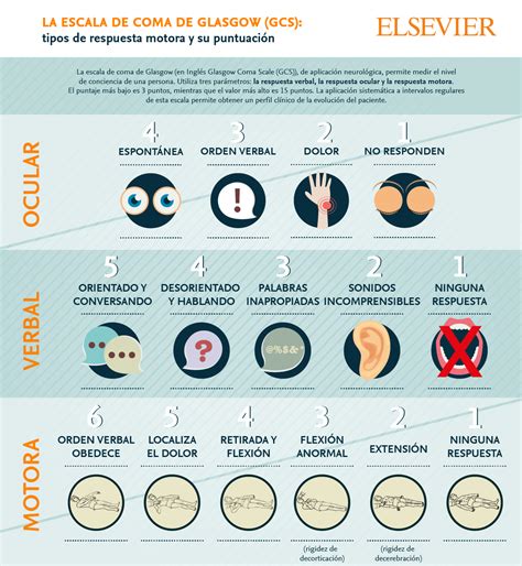 Escala De Coma De Glasgow Tipos De Respuesta Motora Y Su Puntuación