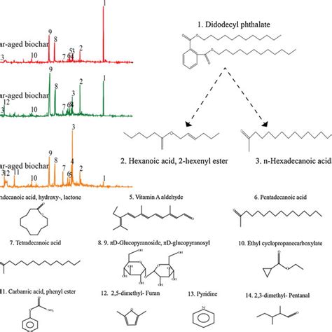 Pdf Microbial Community Structure And Predicted Bacterial Metabolic