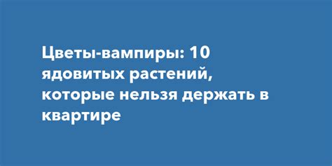 Цветы вампиры 10 ядовитых растений которые нельзя держать в квартире