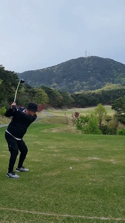 비비고 썰고😱ㅋ 골프 골프존 스크린골프 nx 골프존cc 필드 필드골프 필드레슨 웨지 퍼터 아이언비거리 골프레슨 숏게임 숏아이언