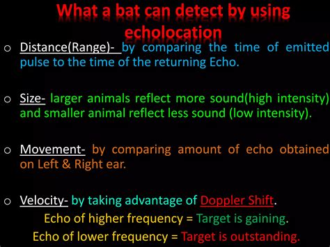 Seeing With Earsthe Echolocation Pptx