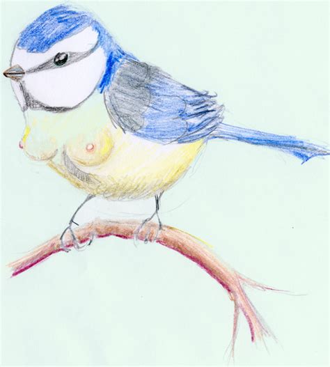 Post Bird Tit