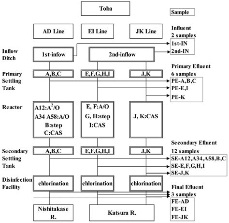 Flow Chart And Sampling Station In The Toba Wwtp Download Scientific