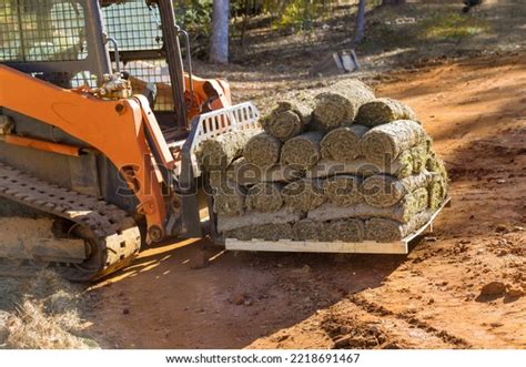 Forklift Unloading Green Grass Turf Rolls Stock Photo Shutterstock