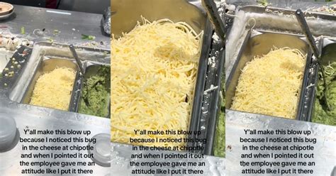 ‘i Noticed This Bug In The Cheese Chipotle Customer Shows A Creepy