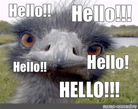 Meme Hello Hello Hello Hello Hello All Templates Meme