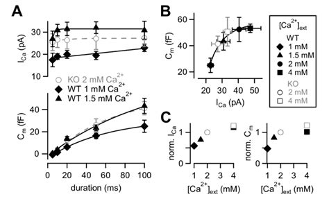 Calcium Dependence Of The Release Kinetics And The Rrp Size 186
