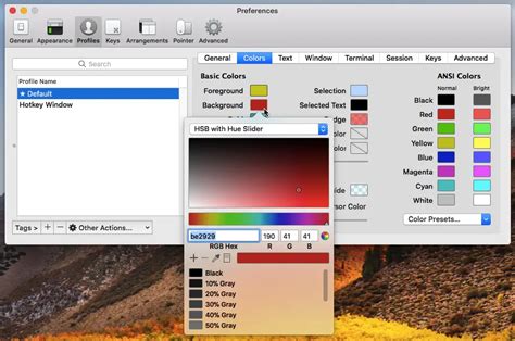 customise the macos terminal with iterm2