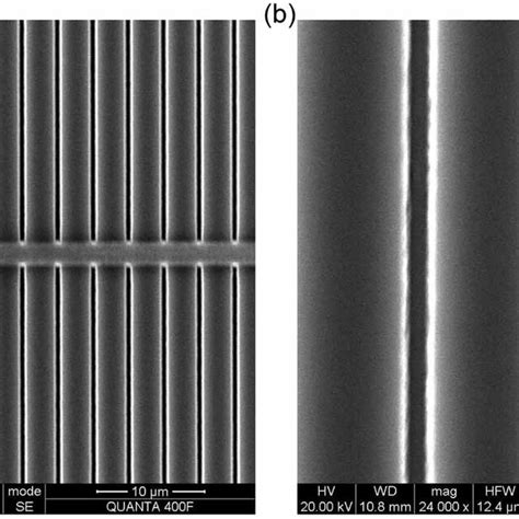 A Sem Image Of The As Fabricated Gan Based Dfb Ld With Sidewall Download Scientific Diagram