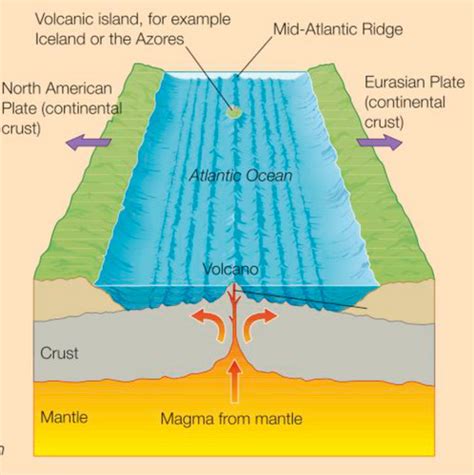 Tectonics Flashcards Quizlet