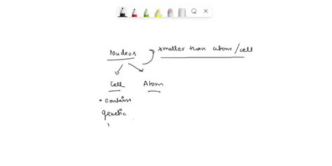 SOLVED The Word Nucleus Is Used To Describe Both Cellular And Atomic Nuclei What Is The