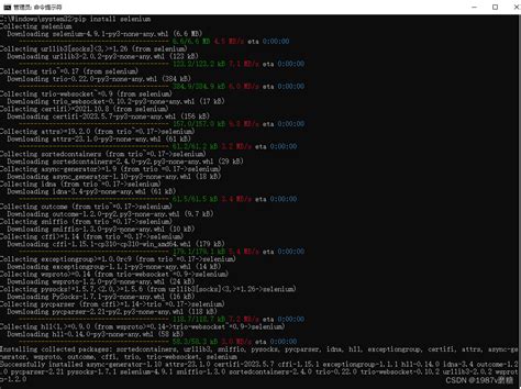 安装python selenium过程（windows版） windows安装selenium csdn博客